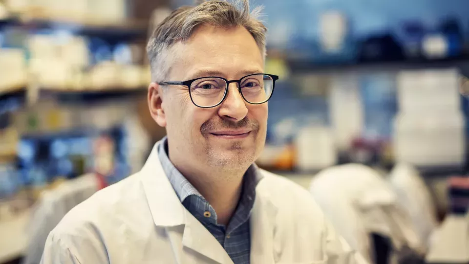 FLYGARE Johan - React-congress